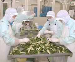 pho_maskglove | ダイニチ食品株式会社